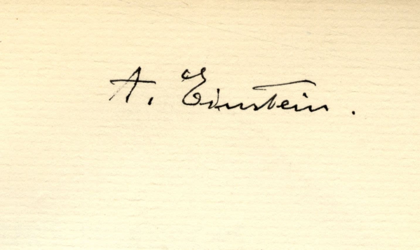 "Hitler's Professors" with the signature of Albert Einstein - Winner'S ...