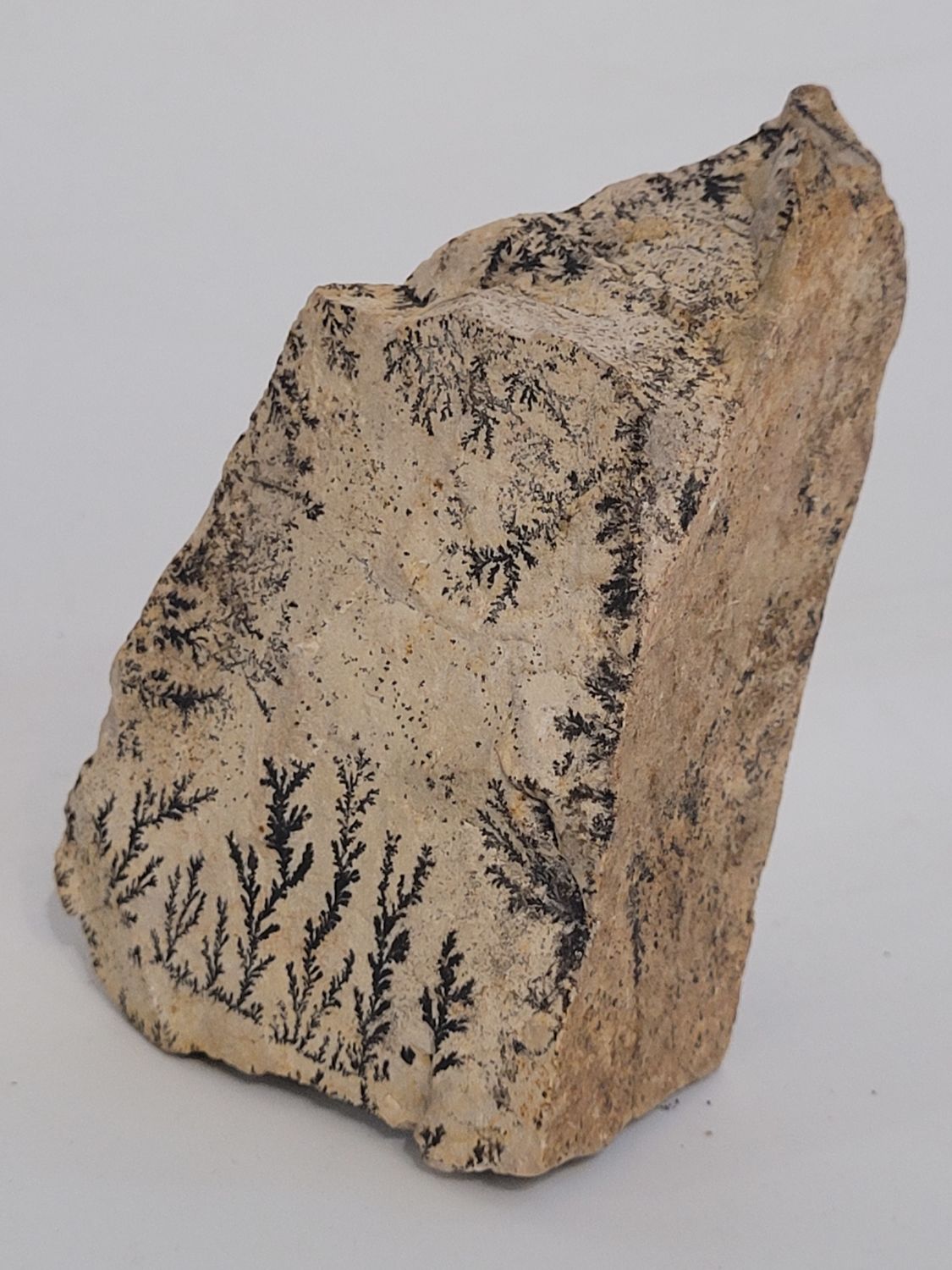 Sneh Stone Direct from Mount Sinai - Winner'S Auctions